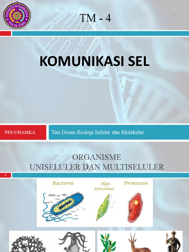 TM 7. Komunikasi Sel | PDF