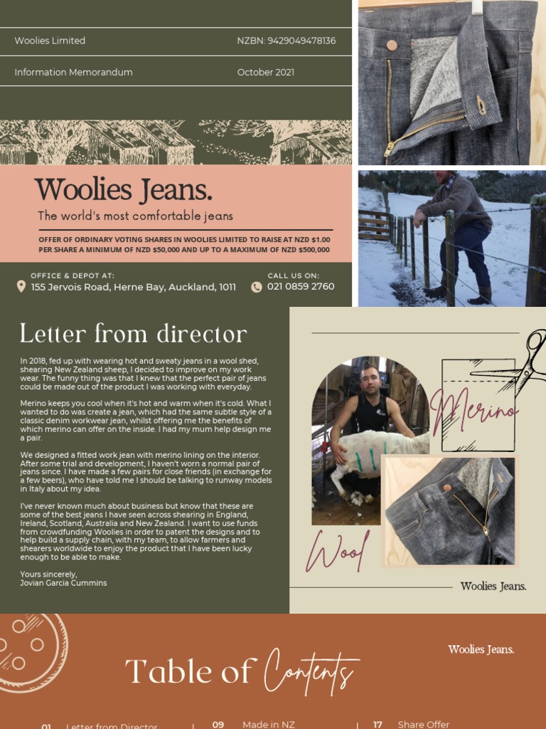 Woolies Jeans - Information Memorandum | PDF | Investor | Jeans
