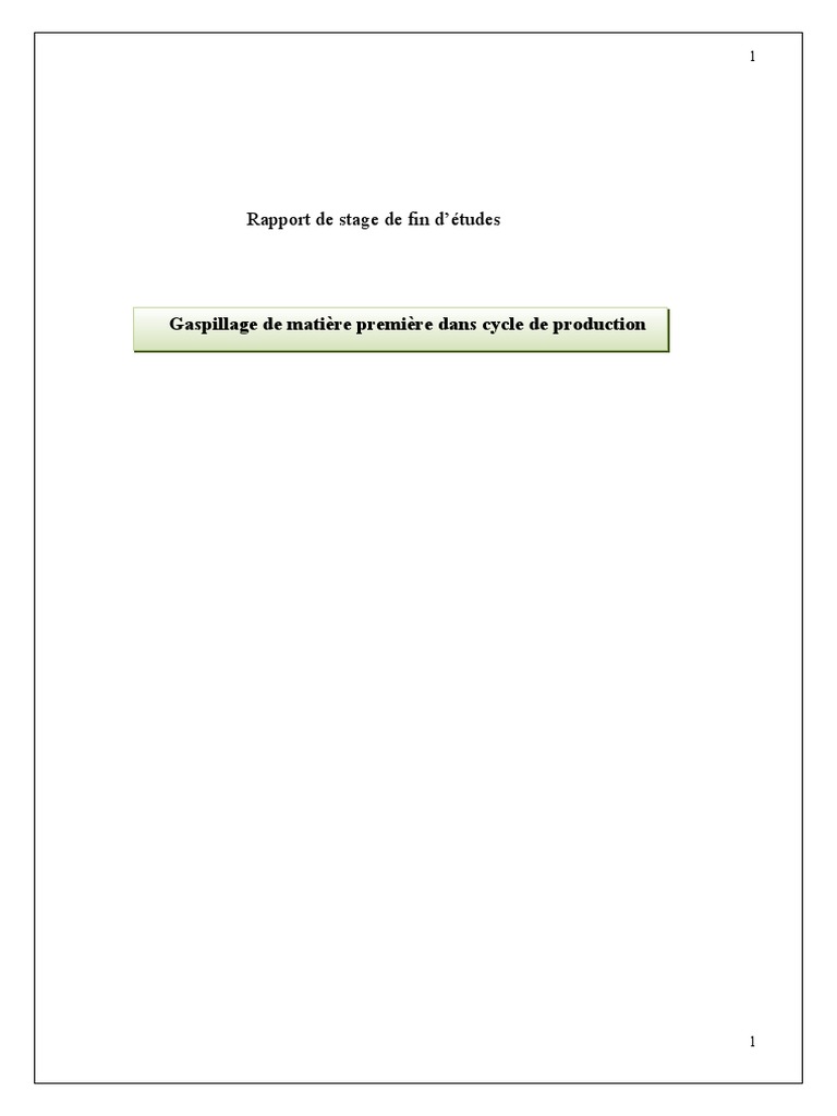 Copie Finale Pfe | PDF | Progiciel de gestion intégré | Lean (production)