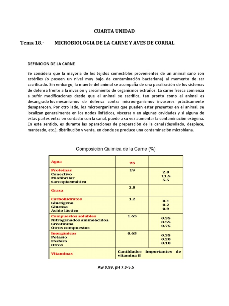 Cuarta Unidad | Descargar gratis PDF | Carne | sal