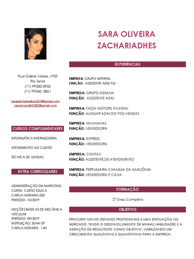 Sara Curriculum Atualizado | PDF