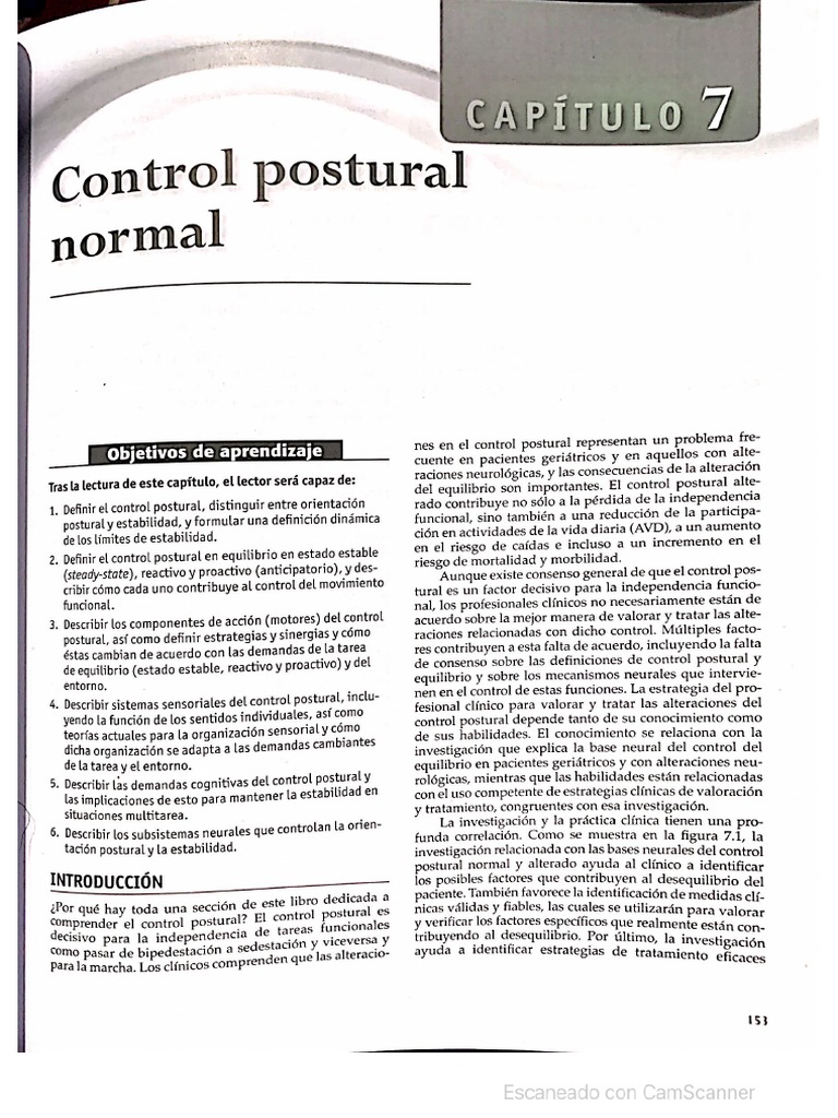 Control Postural | PDF