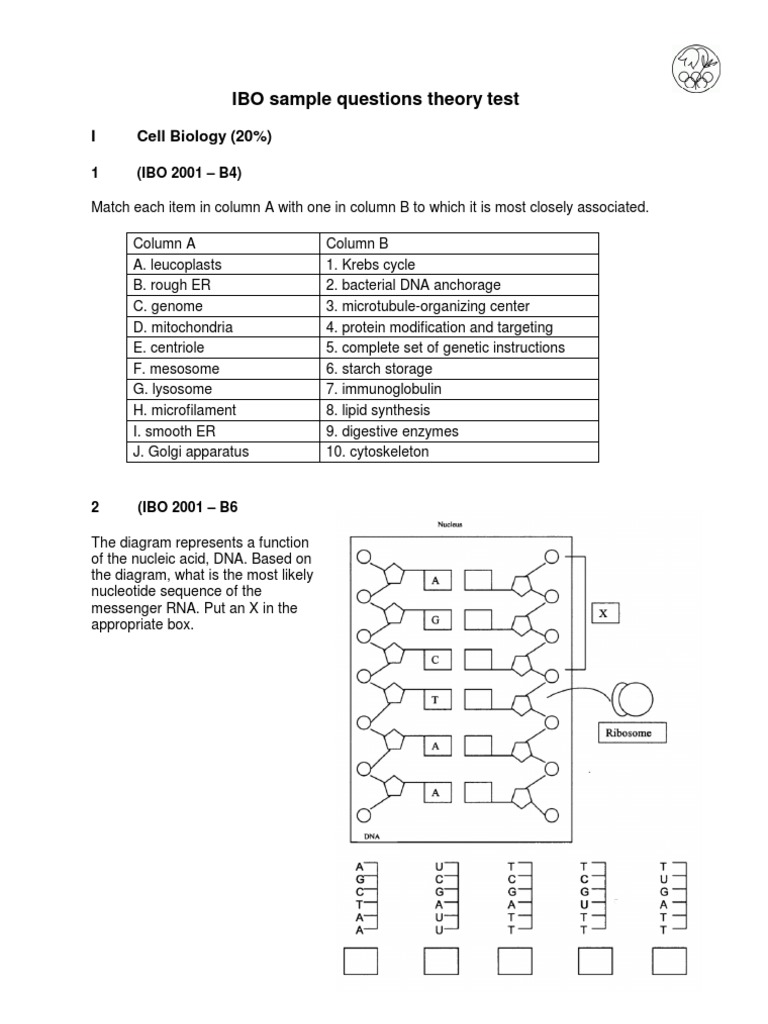 IBO Sample Questions Theory | PDF | Mitochondrion | Dna