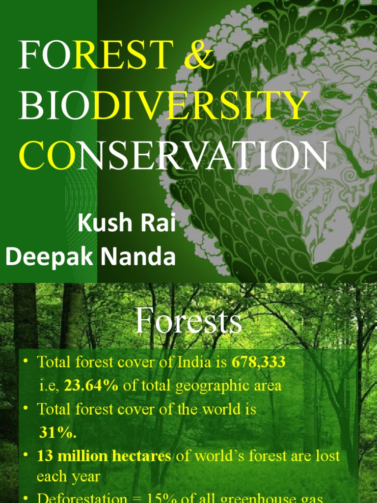 Forest and Biodiversity Final | PDF | Biodiversity | Deforestation