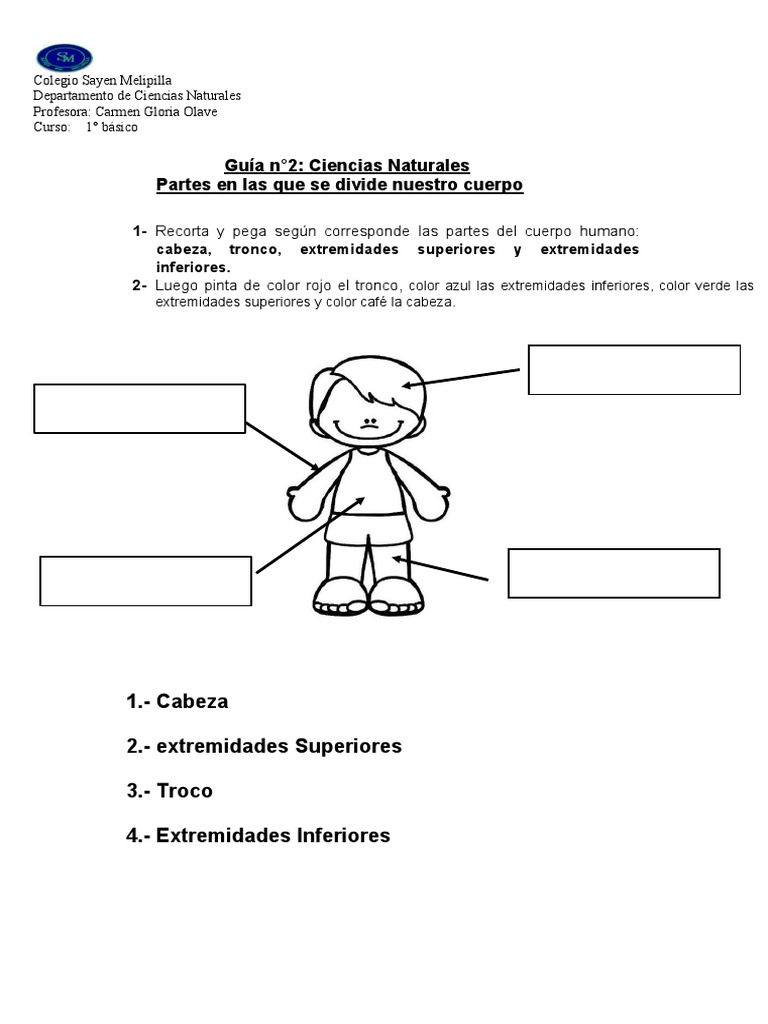 Guía #2 Las Partes Del Cuerpo | PDF