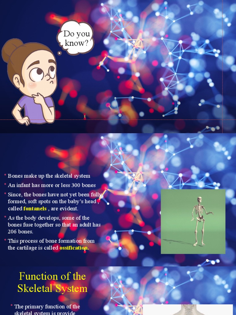 Lesson 3 Parts of The Skeletal System | PDF | Skeleton | Vertebral Column