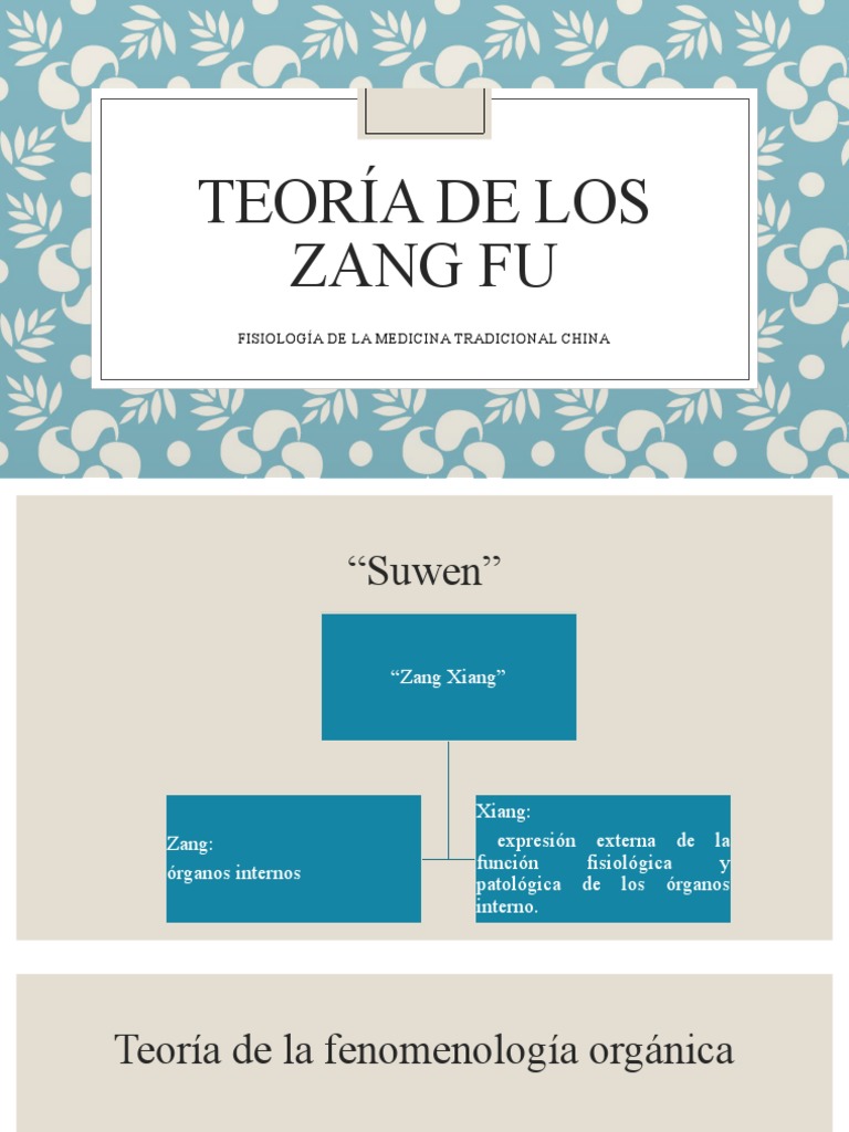 Teoría de Los Zang Fu | PDF | Corazón | Sangre