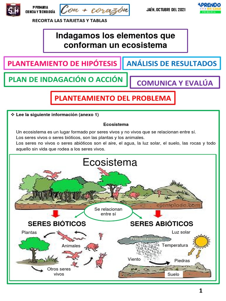 Ficha Ecosistema | PDF | Ecosistema