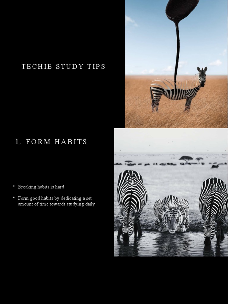 Techie Study Tips | PDF