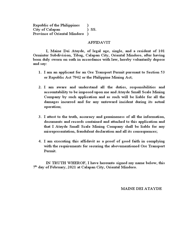 Affidavit of Good Faith | PDF