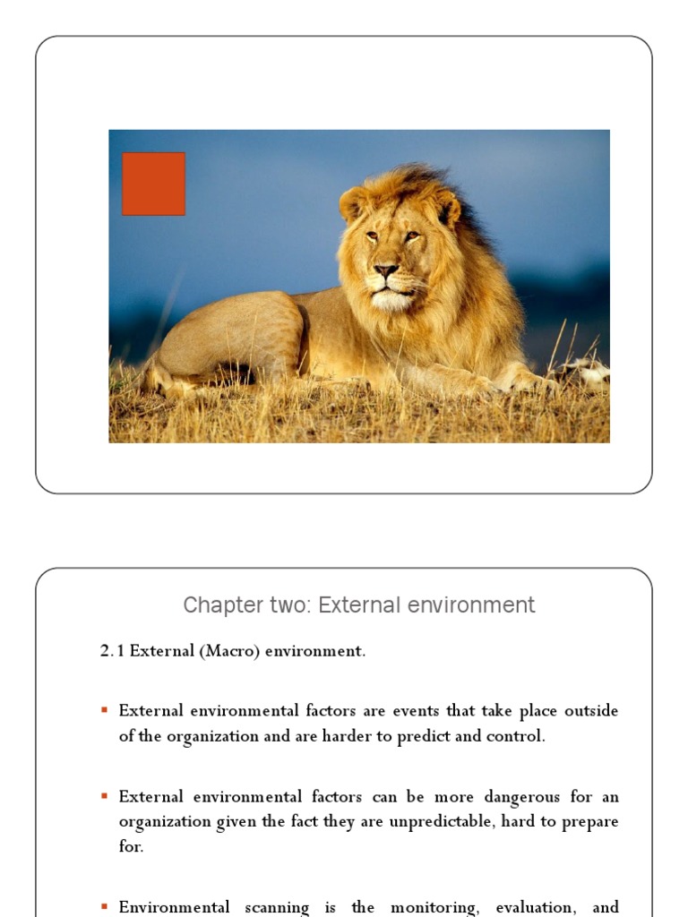 Analyzing External Environmental Factors | PDF | Strategic Management ...