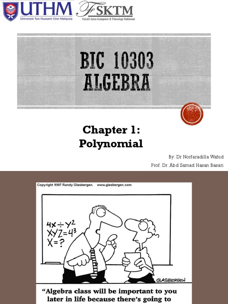 Understanding Polynomials and Their Operations | PDF | Factorization ...