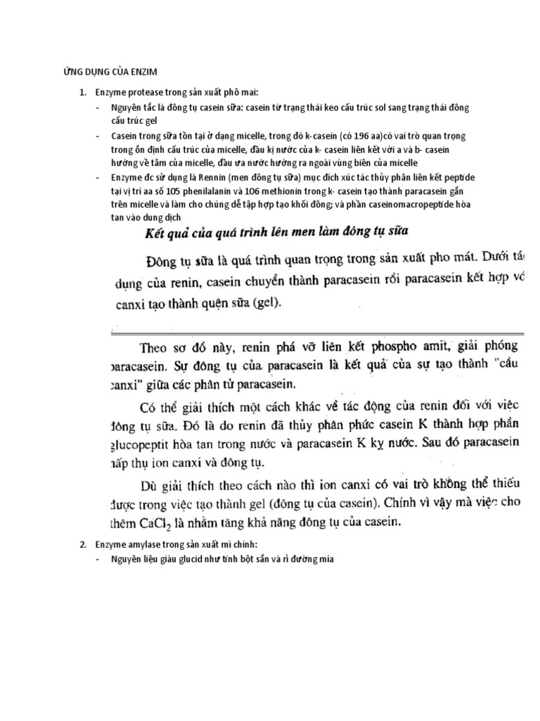 NG D NG C A Enzim | PDF