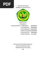 Klasifikasi Dan Morfologi Bunga Mawar | PDF | Griya & Taman