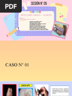 Diaz Apaza Anthony Jesus-Diascopia - Vitropresion | PDF ...