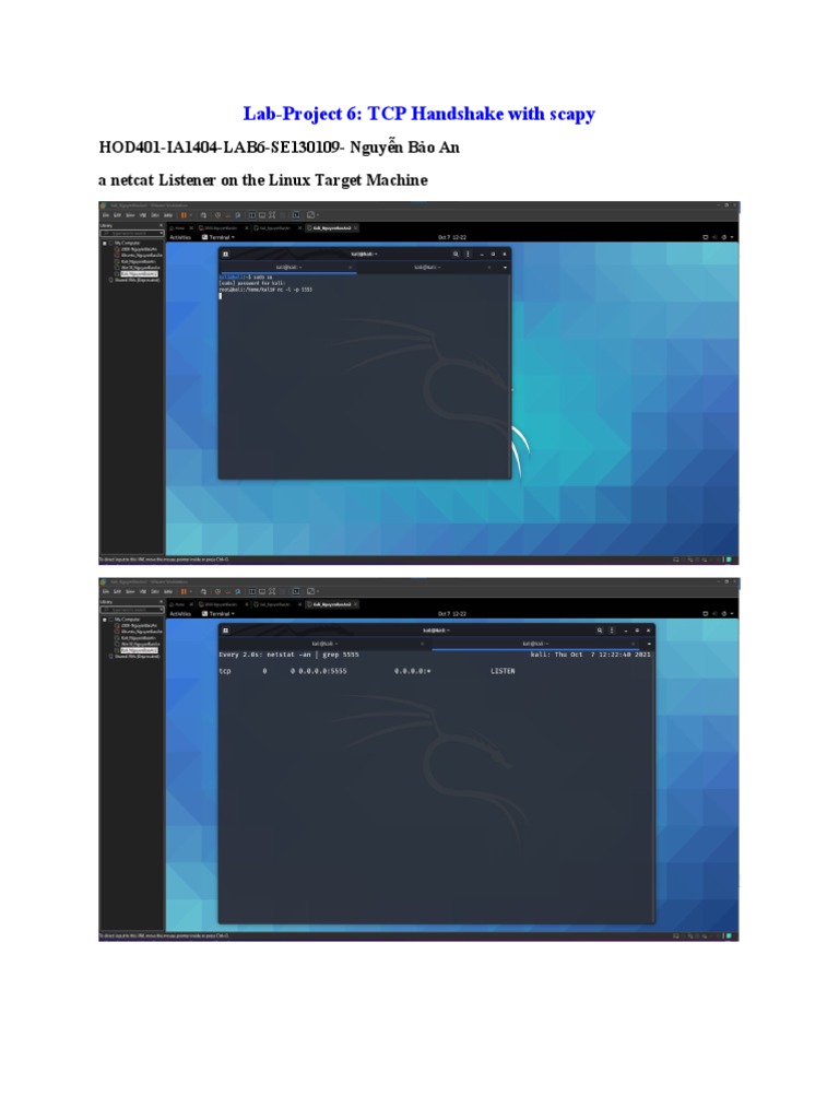 Lab-Project 6: TCP Handshake With Scapy | PDF