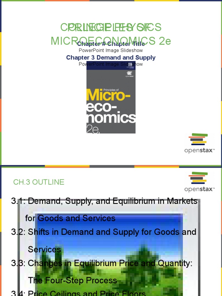OpenStax Microeconomics CH03 Lecture | PDF | Economic Surplus | Supply ...