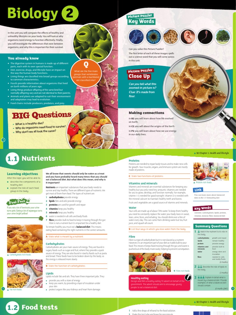 PREVIEW Activate 2 Student Book | PDF | Digestion | Small Intestine