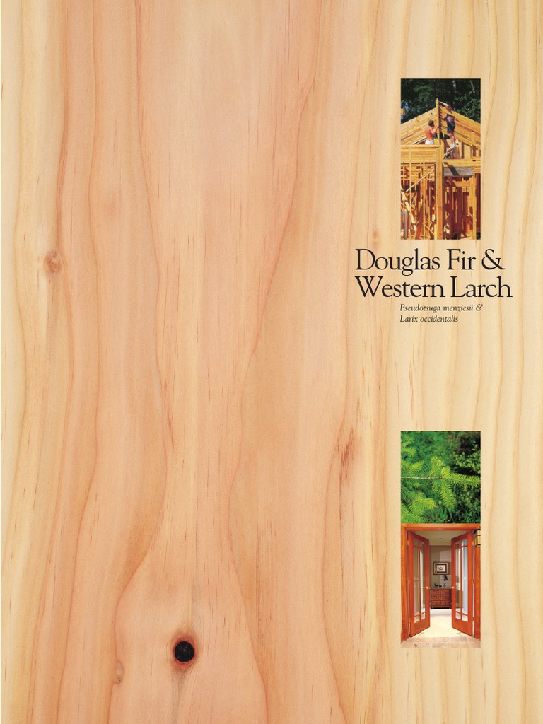 Doug Fir Wwpa | PDF | Lumber | Framing (Construction)