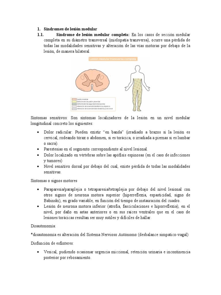 Lesion Medular | PDF | Médula espinal | Dolor