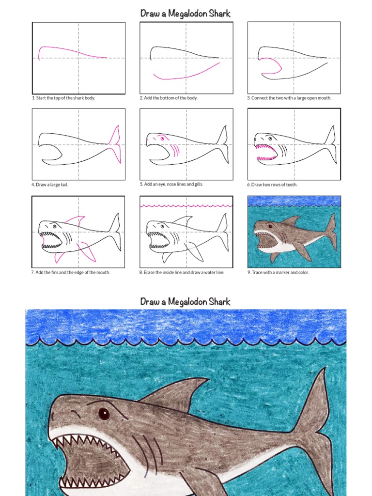 Draw A Megalodon Shark | PDF | Science & Mathematics