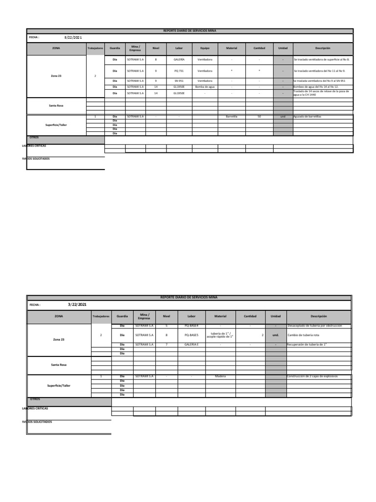 Modelo de Reporte Diario | PDF
