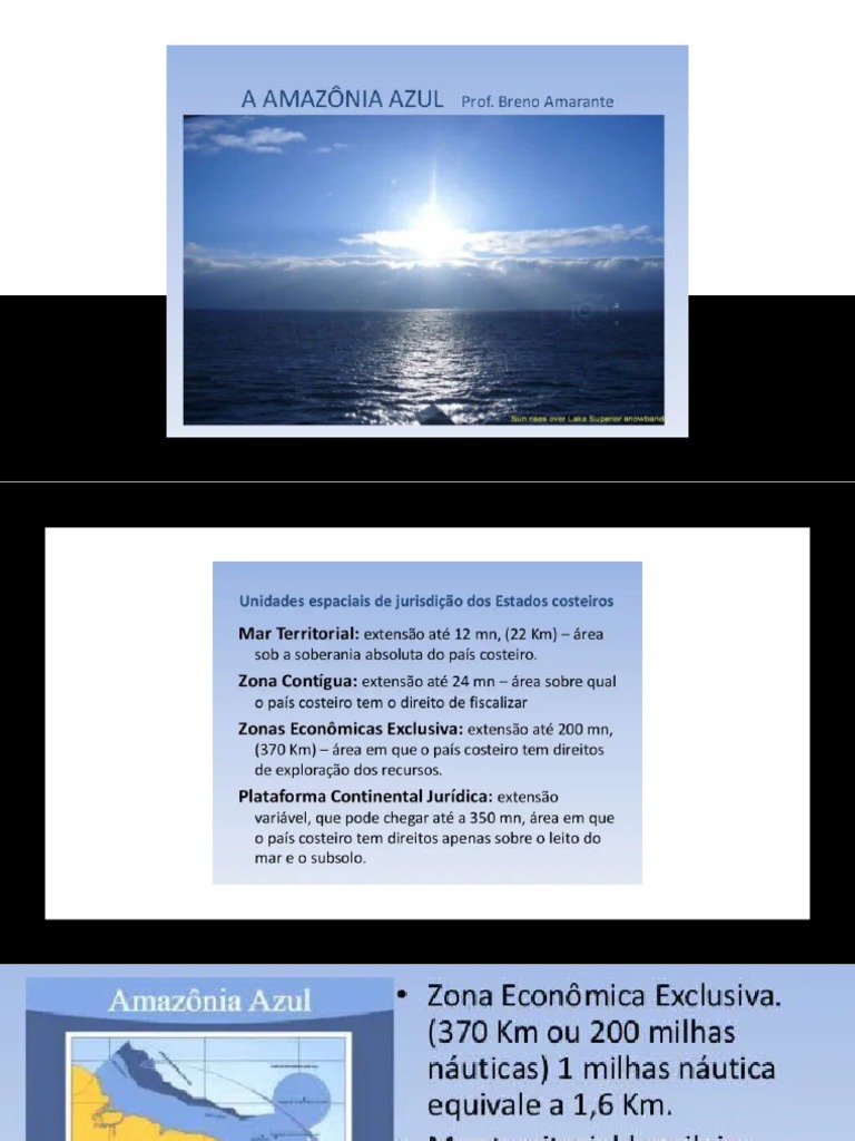 Slides Amazonia Azul 1º Anos 3º Bim | PDF | Floresta Amazônica ...