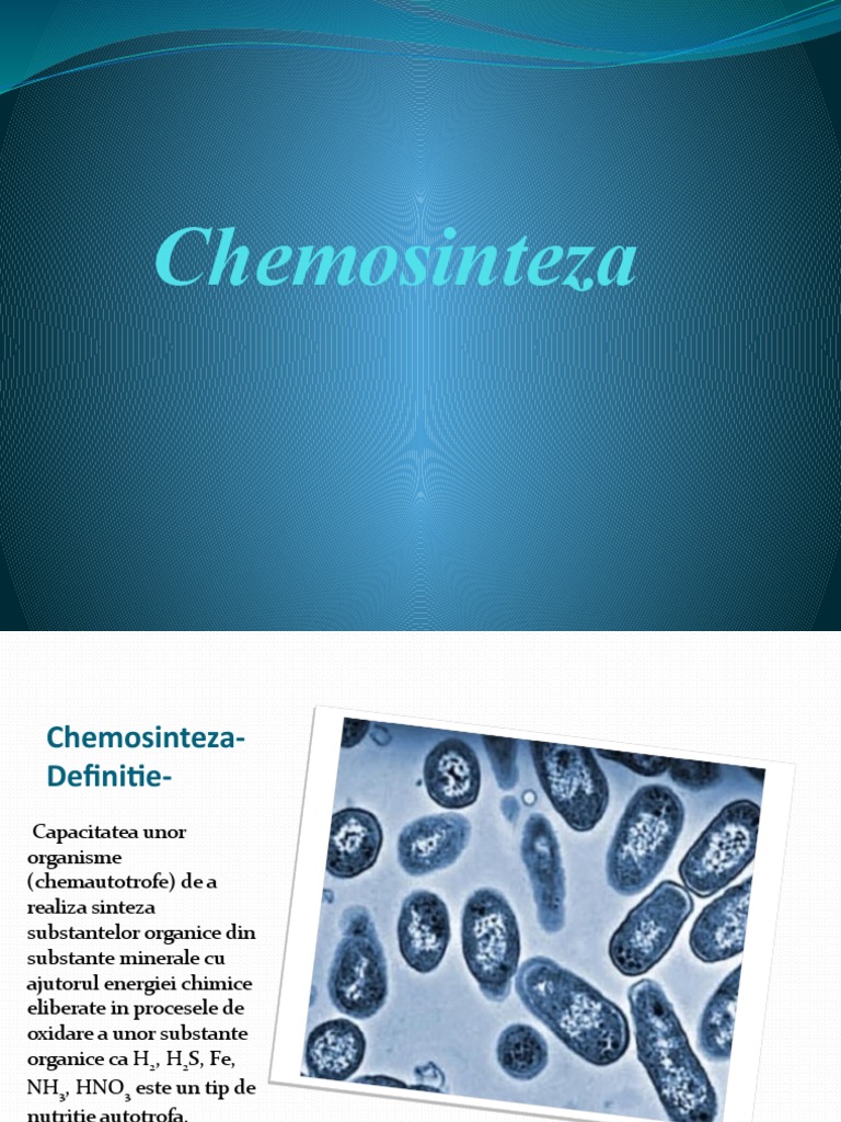 Chemosinteza | PDF