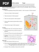 Cellular Respiration Virtual Lab Notes | PDF | Adenosine Triphosphate ...