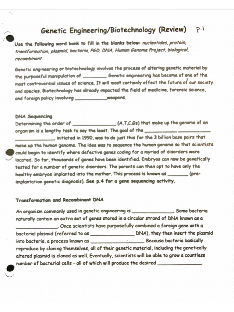 85 Genetic Engineering - Biotechnology Review Worksheet | PDF