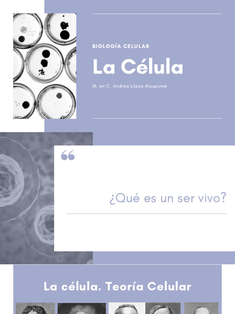 La Célula Biología Celular | PDF | Retículo endoplásmico | Citoplasma