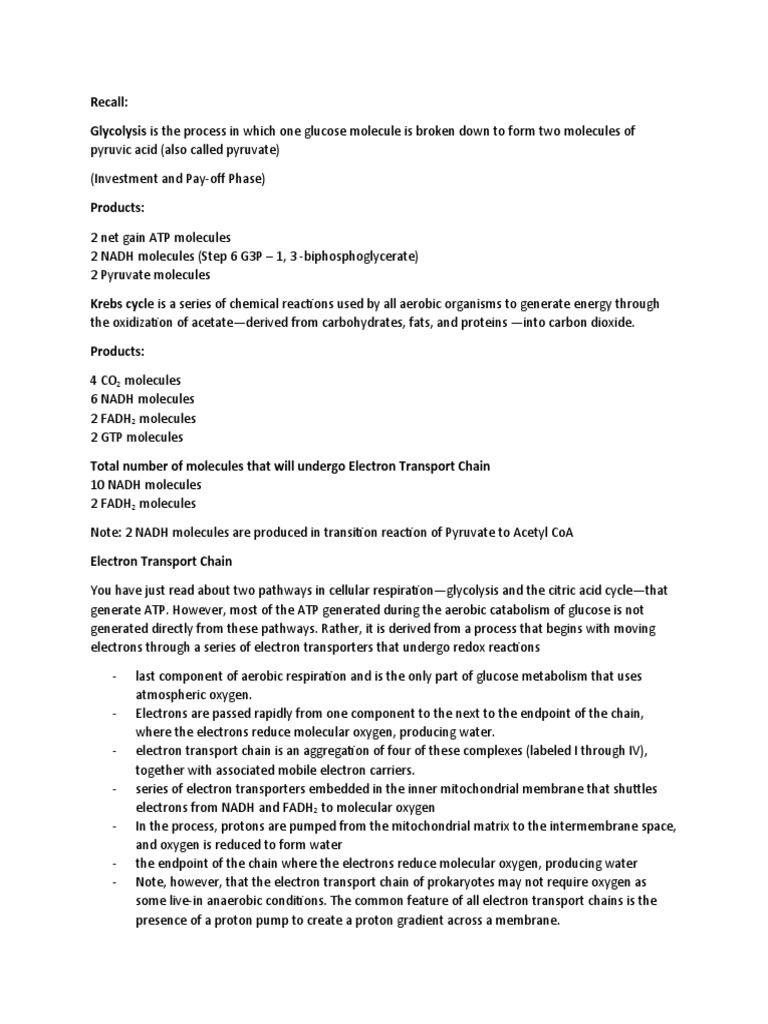 ETC | PDF | Electron Transport Chain | Cellular Respiration