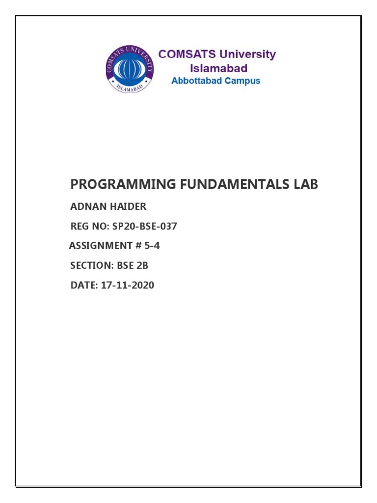 Programming Fundamentals Lab Exercises | PDF