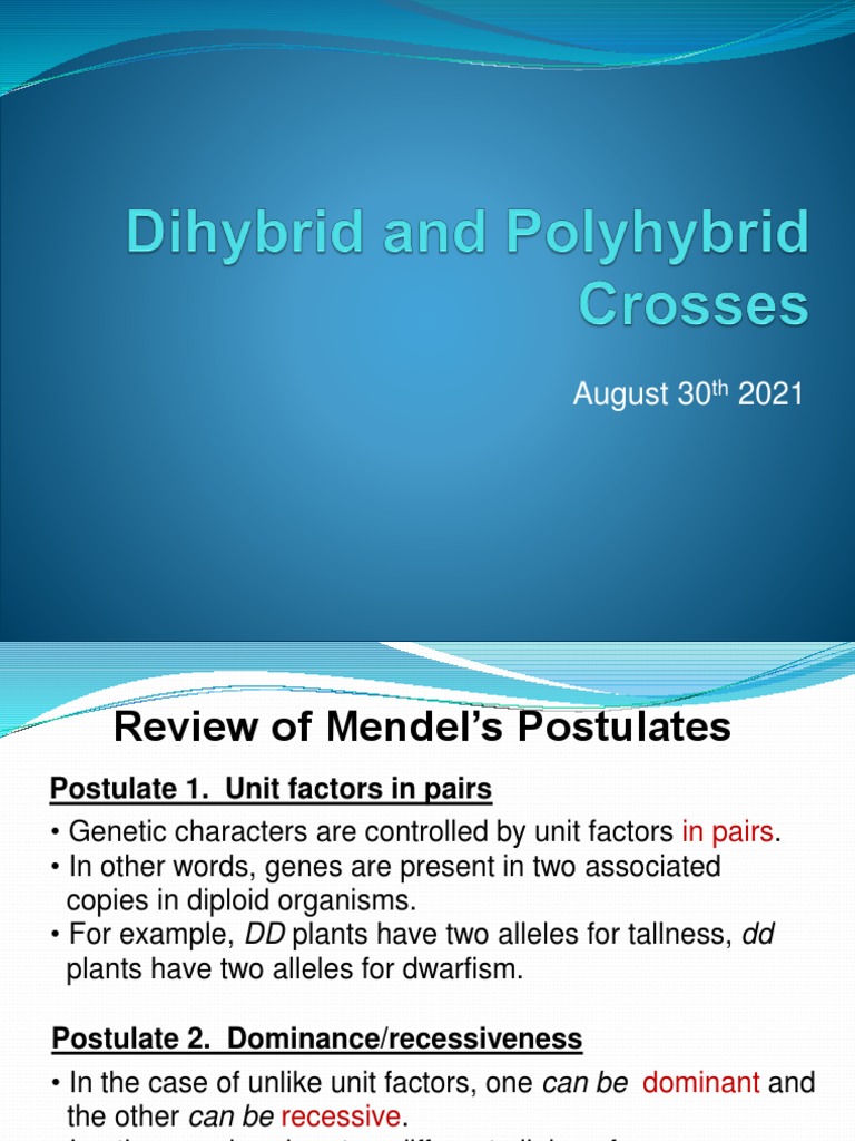 Trihybrid Cross Analysis and Methods | PDF | Dominance (Genetics) | Allele