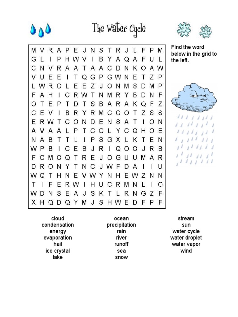 Water Cycle Word Search Puzzle | PDF