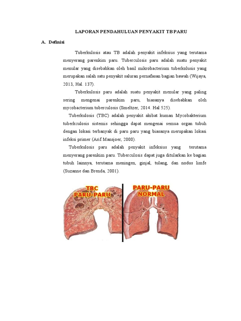LP TB Paru Urj | PDF