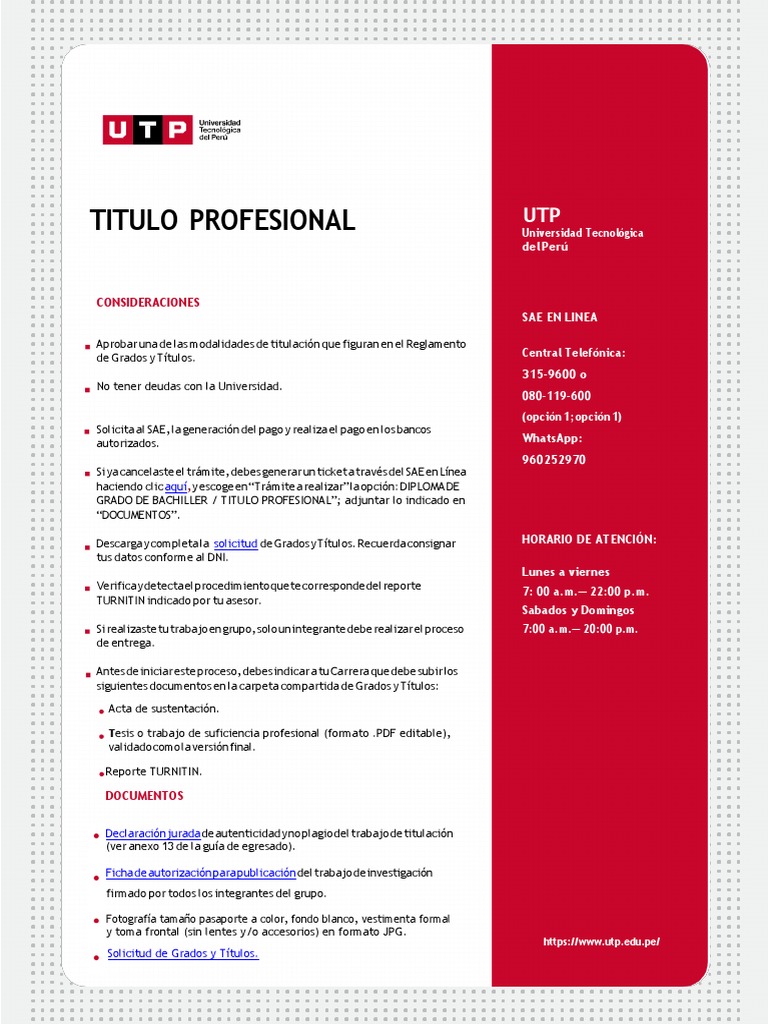 Titulo Profesional | PDF