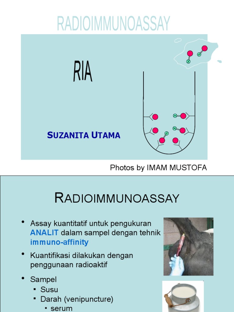 RIA-animated Indonesia | PDF