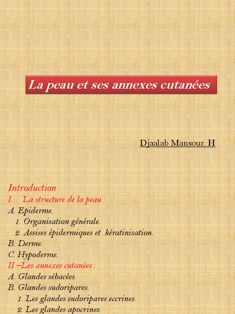 La Peau | PDF | Épiderme (anatomie) | Peau