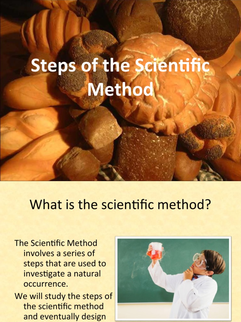 Steps of The Scientific Method Newest | PDF | Experiment | Hypothesis