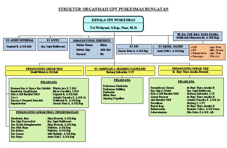 Struktur Organisasi Puskesmas | PDF