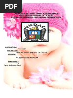 Método Jaffé para Creatinina: Guía Técnica | PDF