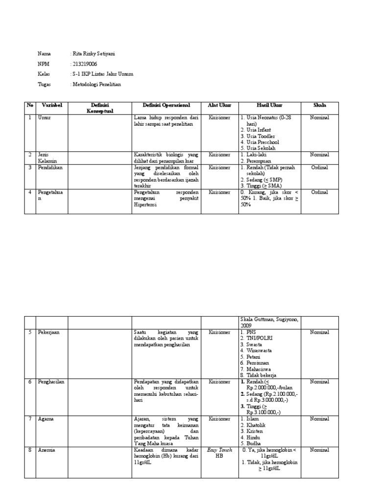 RITA RIZKY SETIYANI - 213219006 - Definisi Operasional Variabel | PDF