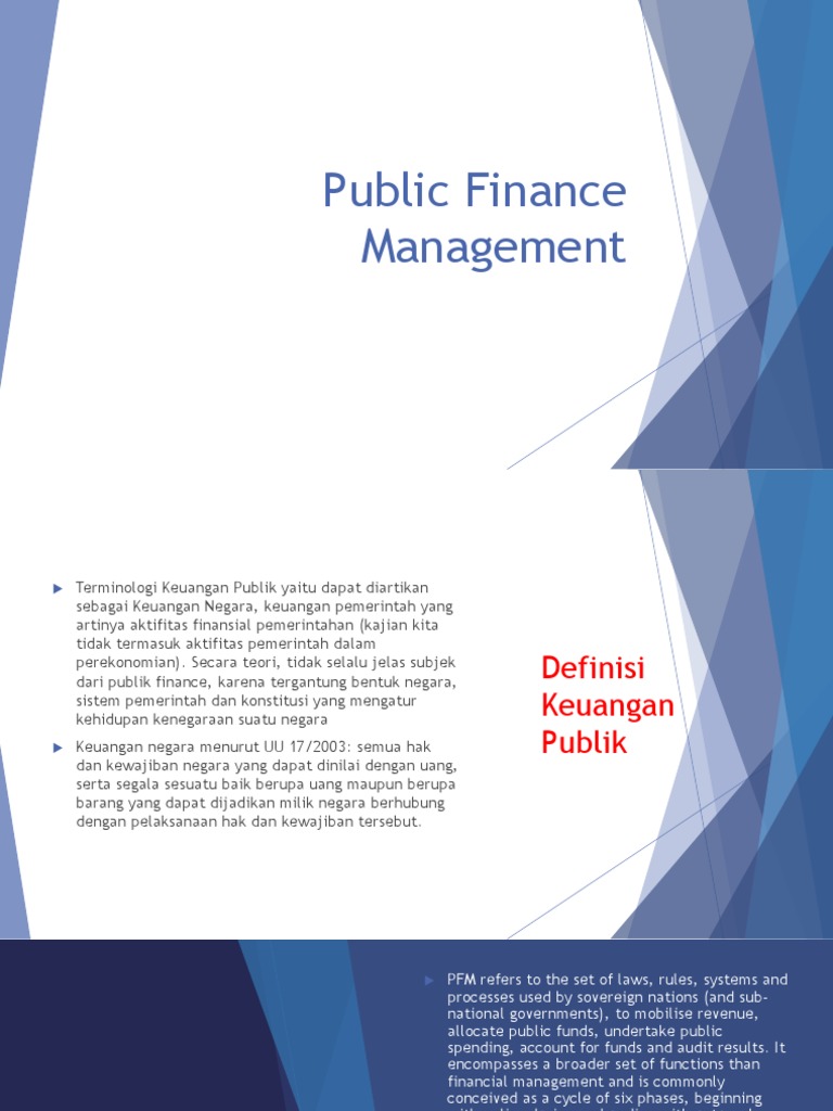 Review Public Finance Management | PDF