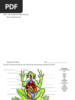 Toad Dissection Guide | PDF