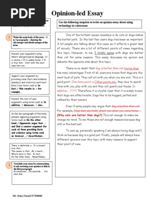 Do Cats Or Dogs Make Better Pets Opinion Essay