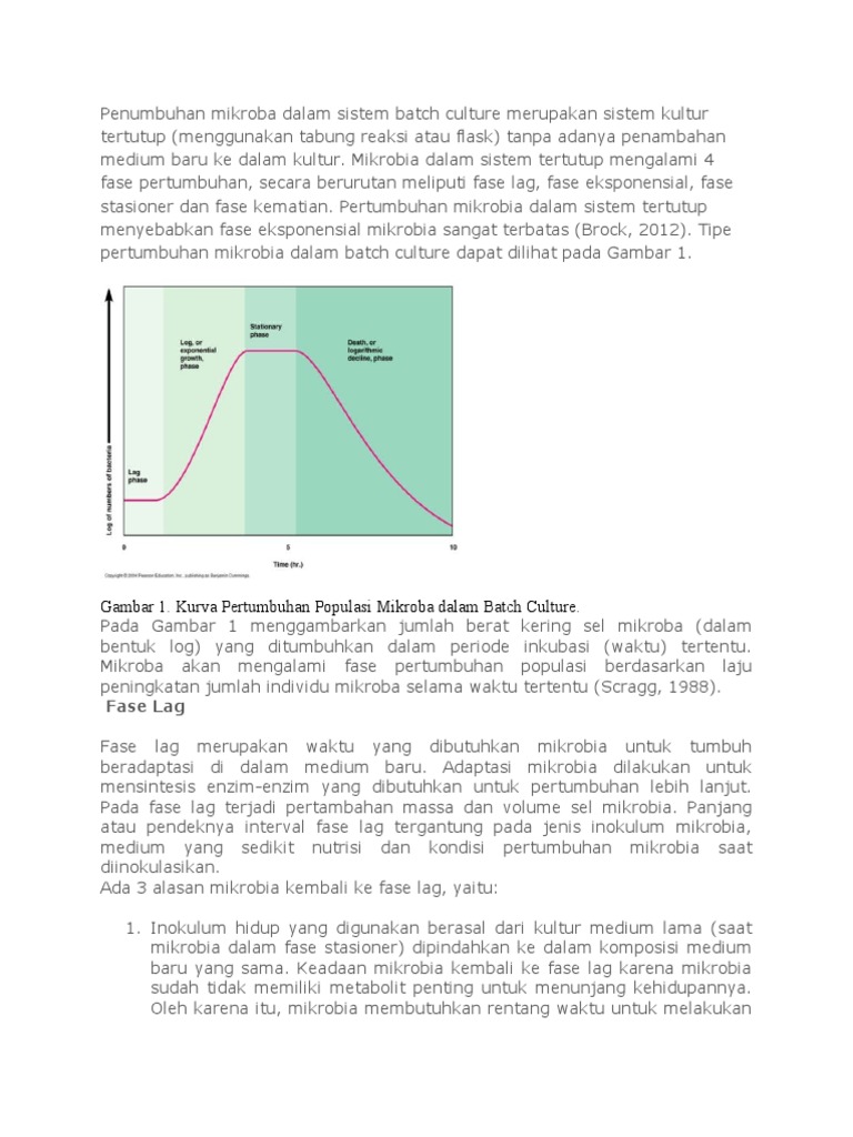 Fase Pertumbuhan | PDF | Sains & Matematika