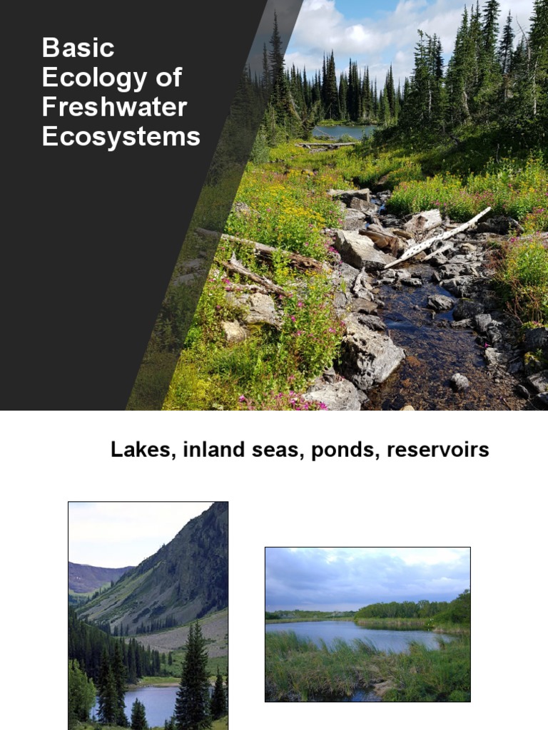 Freshwater Ecosystem Ecology: Lakes, Streams, and Wetlands | PDF | Biogeochemistry | Nature