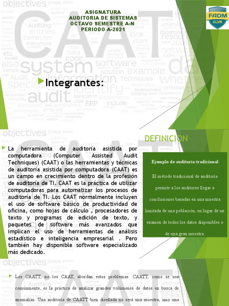 CAATS | PDF | Software | Auditoría