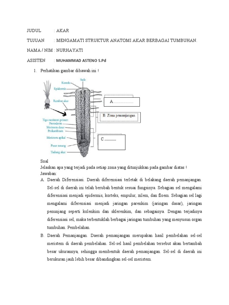 Akar 1 | PDF
